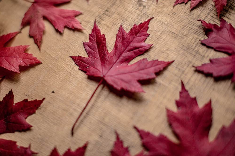 What is the right age to immigrate to Canada? - ImmegrationWay